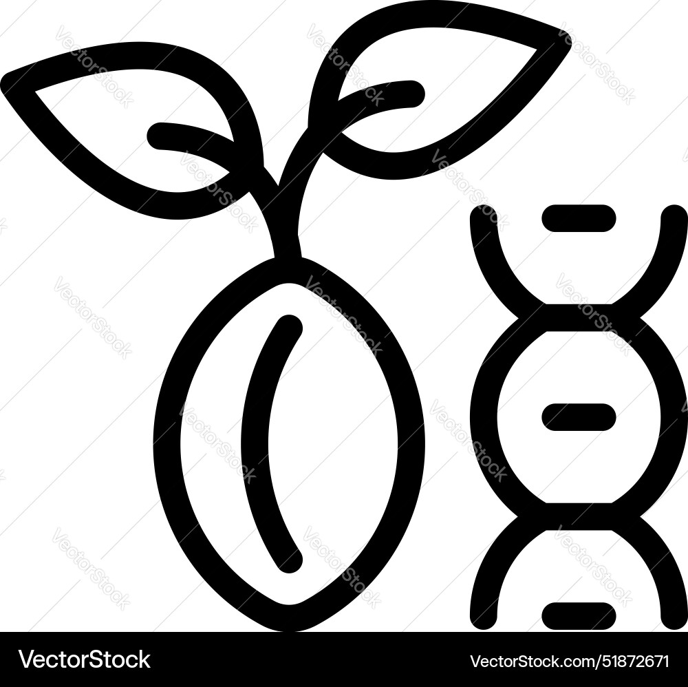 Seed growing with dna strands for genetic Vector Image