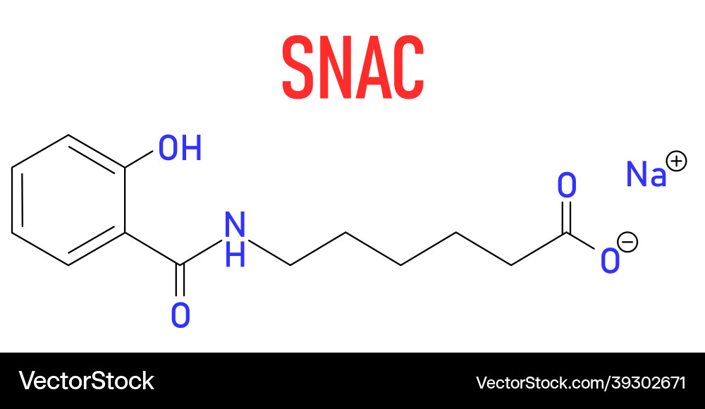Sodium salcaprozate snac skeletal formula Vector Image