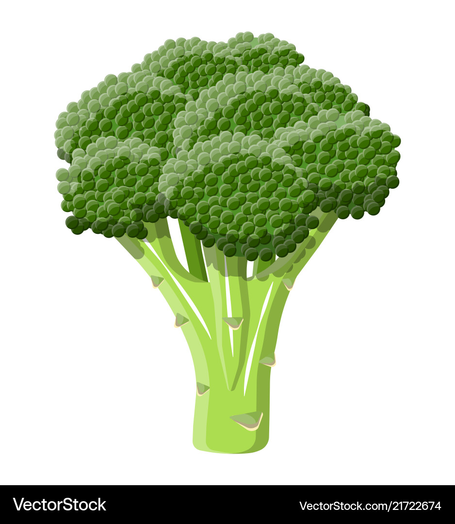 Brocolli Vector Images (over 1,100)