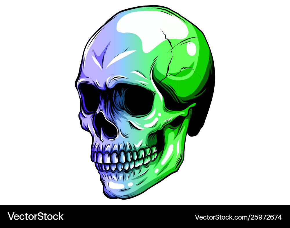 Skull in color paint design Royalty Free Vector Image