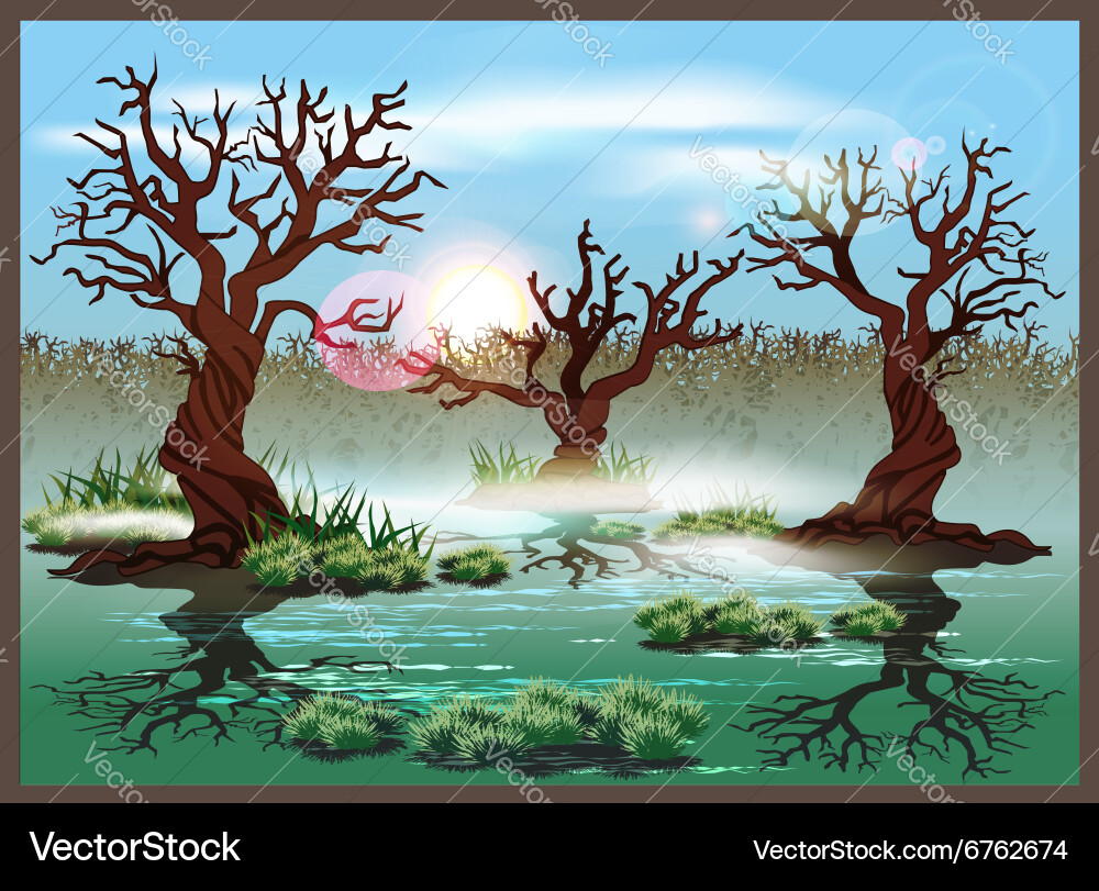 Swamp Royalty Free Vector Image - VectorStock