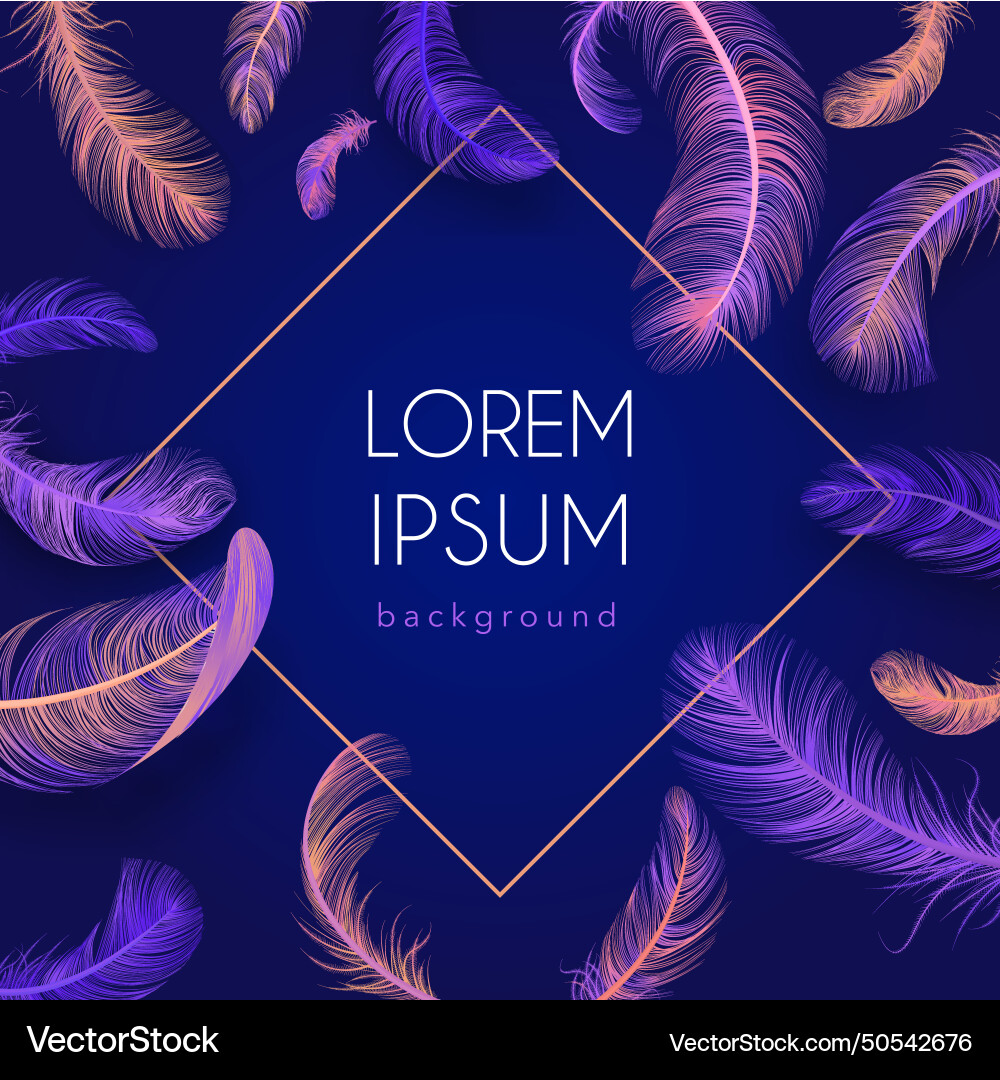 Realistic feather frame Royalty Free Vector Image