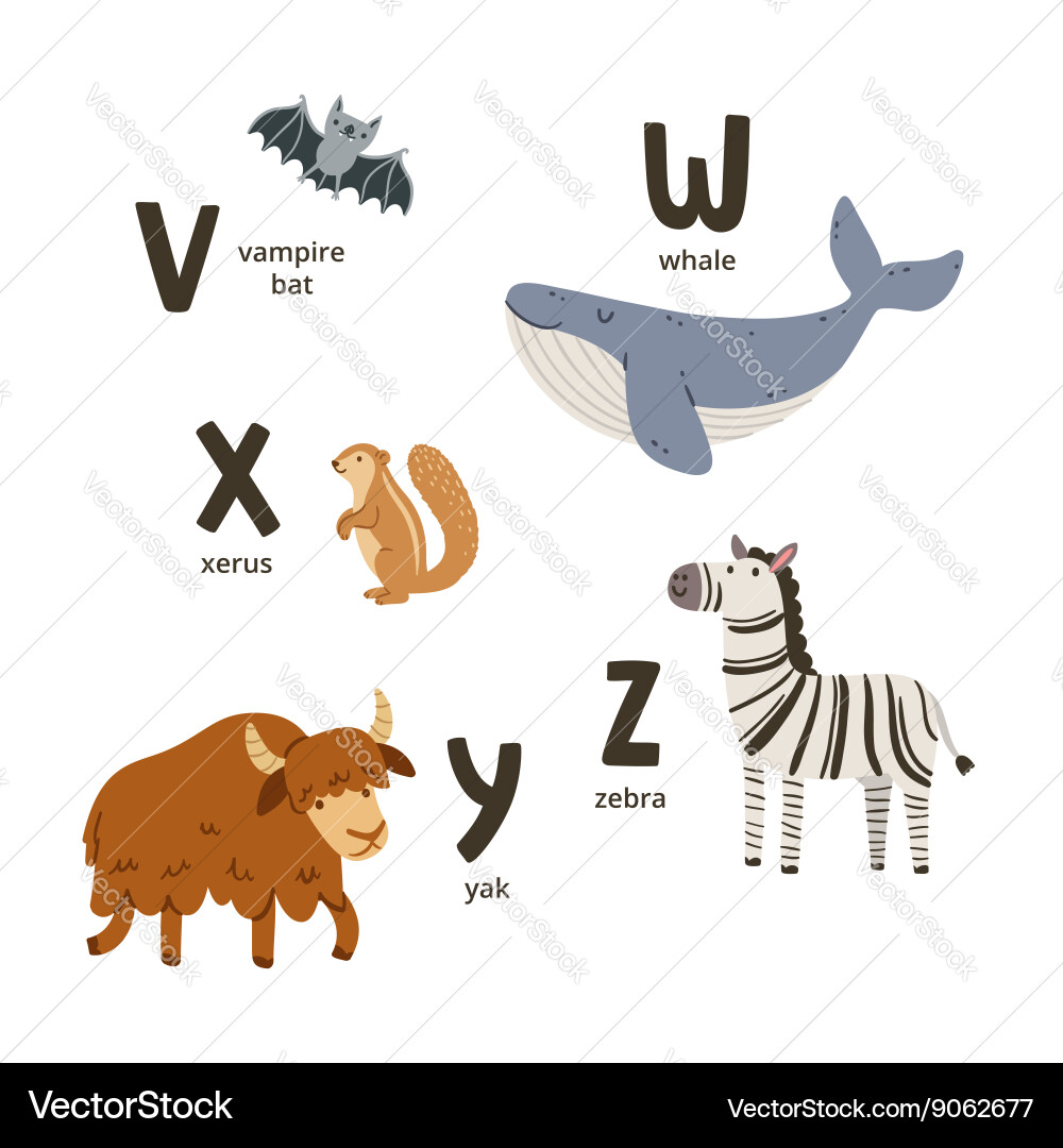 Tierische Buchstaben v bis z Lizenzfreies Vektorbild