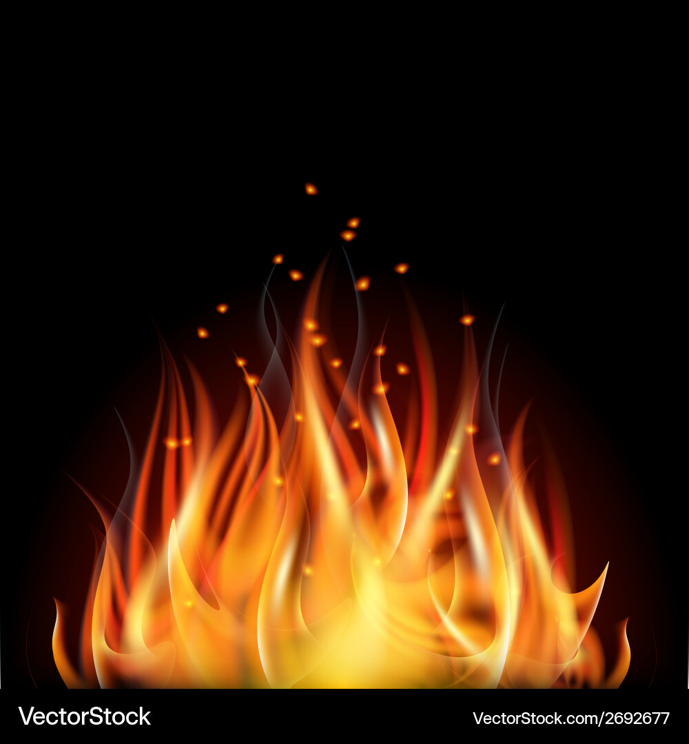 Burning Fire Flame Royalty Free Vector Image - VectorStock