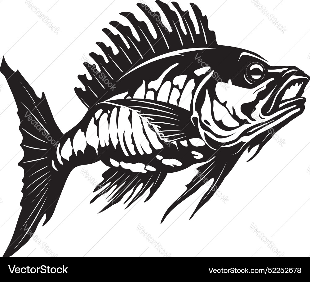 Grisly glyphs minimalistic predator fish skeleton Vector Image