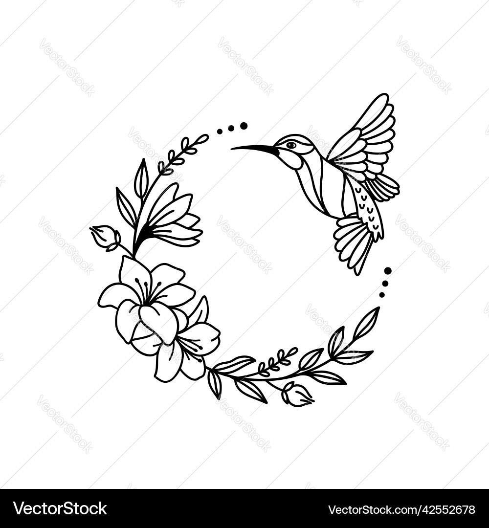 Hummingbird Borders Vector Images (over 140)