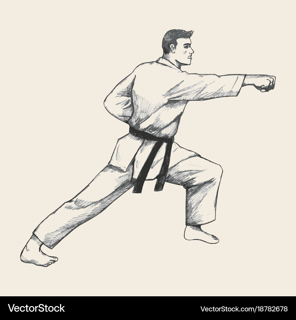 Martial artist Royalty Free Vector Image - VectorStock