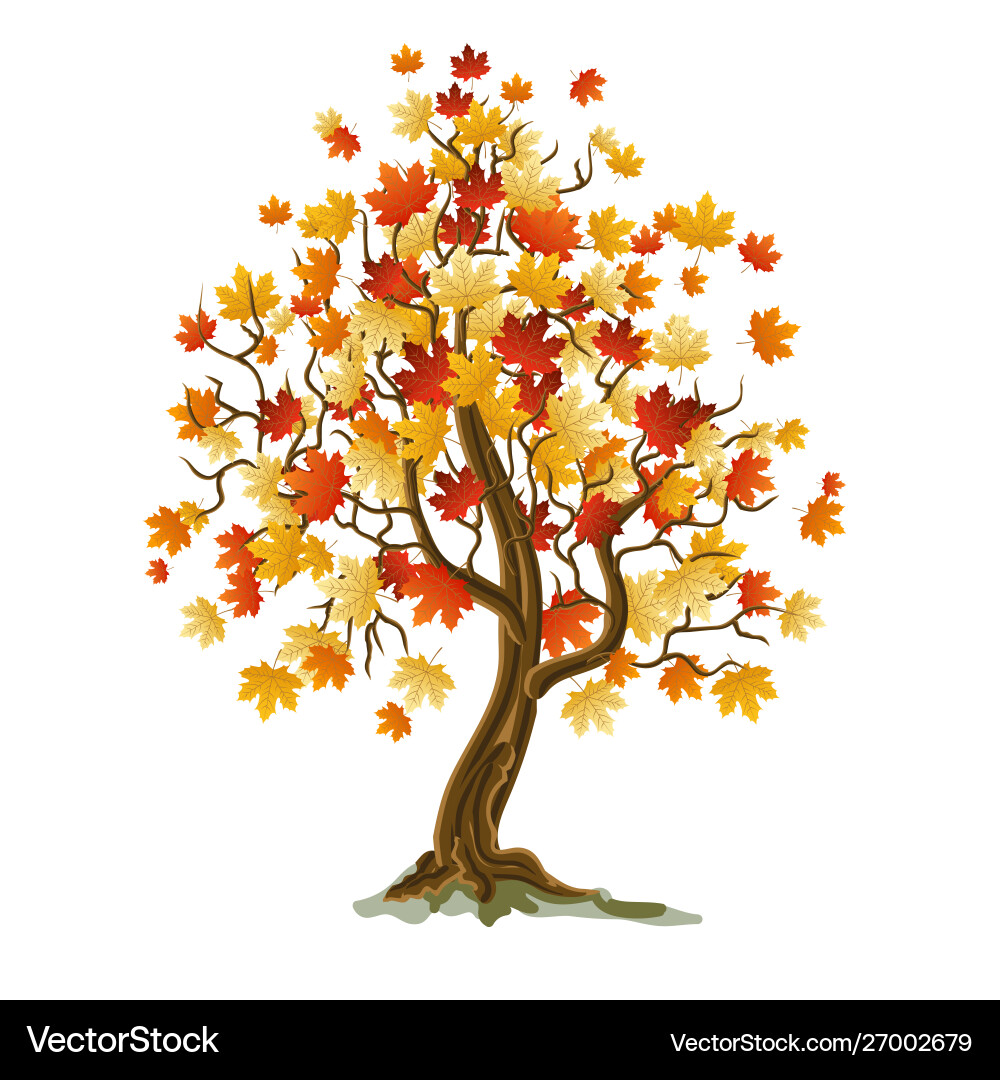Autumn tree Royalty Free Vector Image - VectorStock