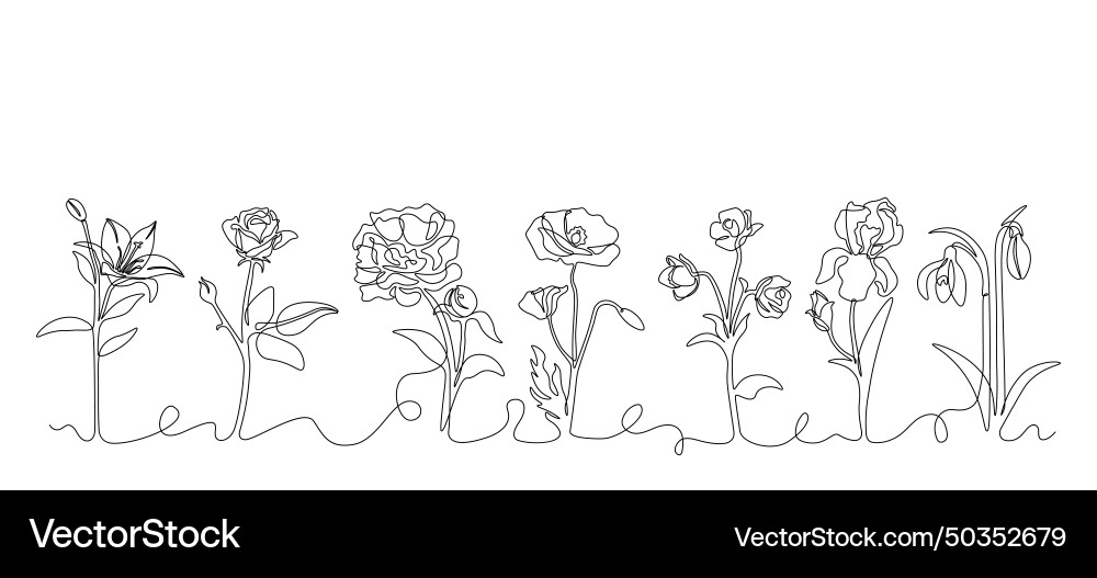 Elegant Floral Border - Single Line Flowers Vector Image