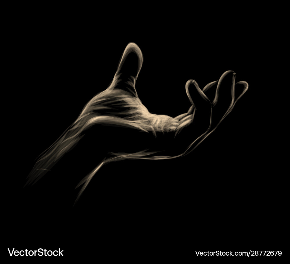Elegant Open Palm Hand Royalty Free Vector Image