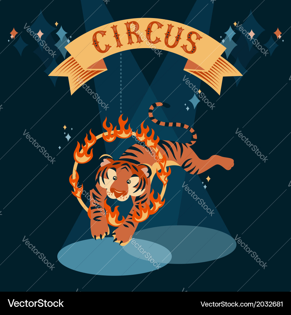 Circus tiger Royalty Free Vector Image - VectorStock