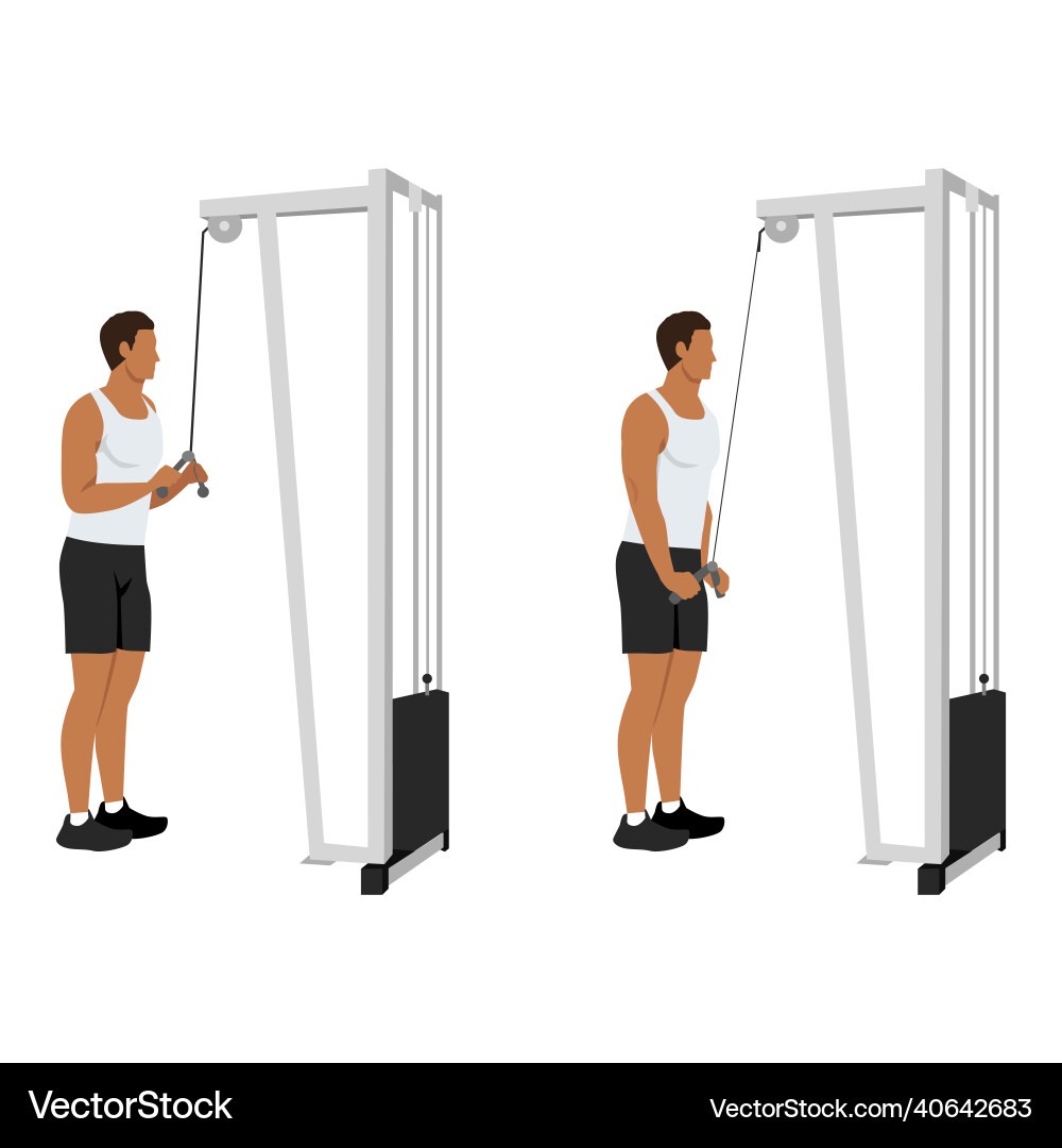 Man doing cable tricep pull down exercise Vector Image