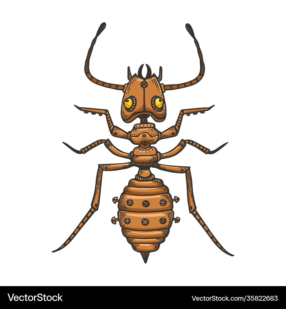 Mechanical Ant Scratch Board Royalty Free Vector Image