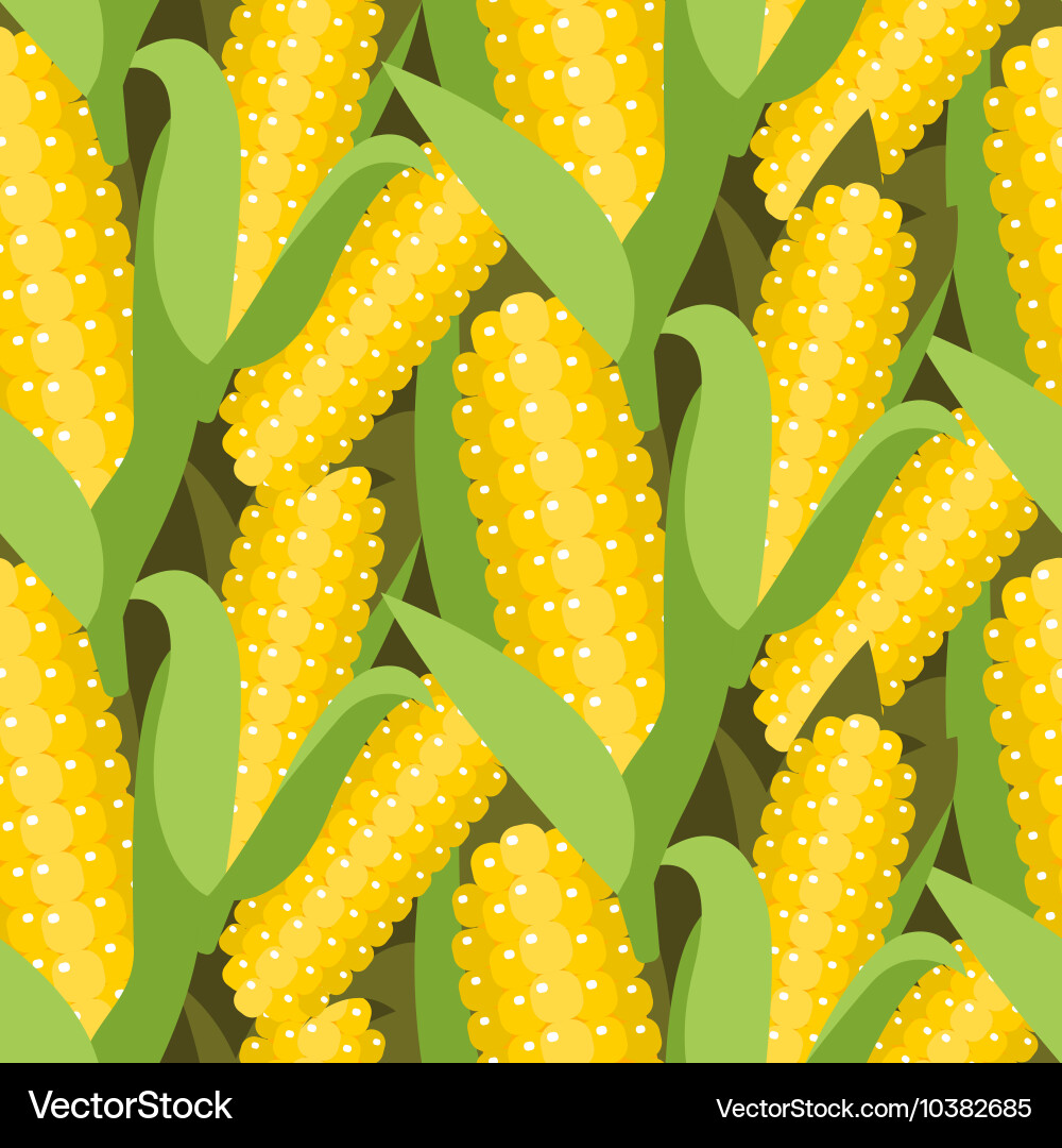 Corn seamless pattern maize – Royalty-Free Vector | VectorStock