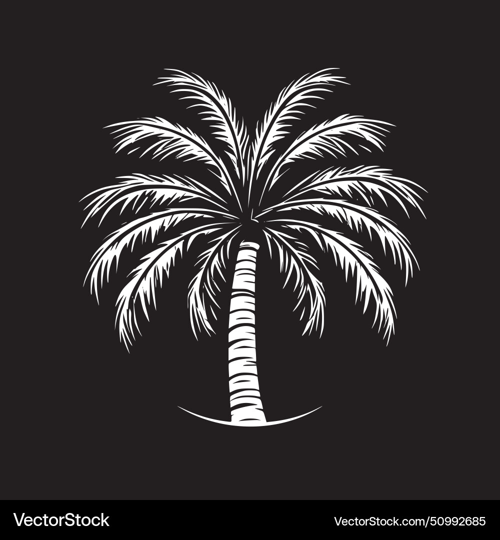Palm - black and white Royalty Free Vector Image