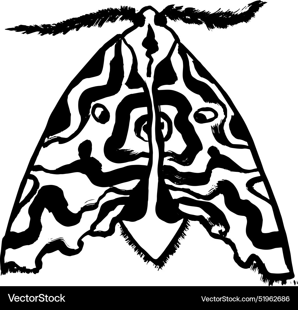 Grunge hand drawn ink brush night moth Royalty Free Vector