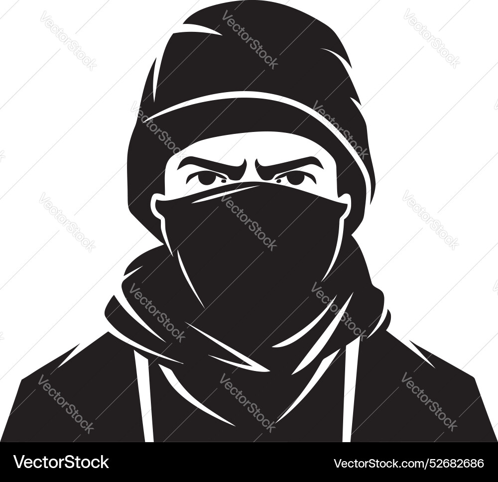 Mystery master full faced mask and enigmatic Vector Image