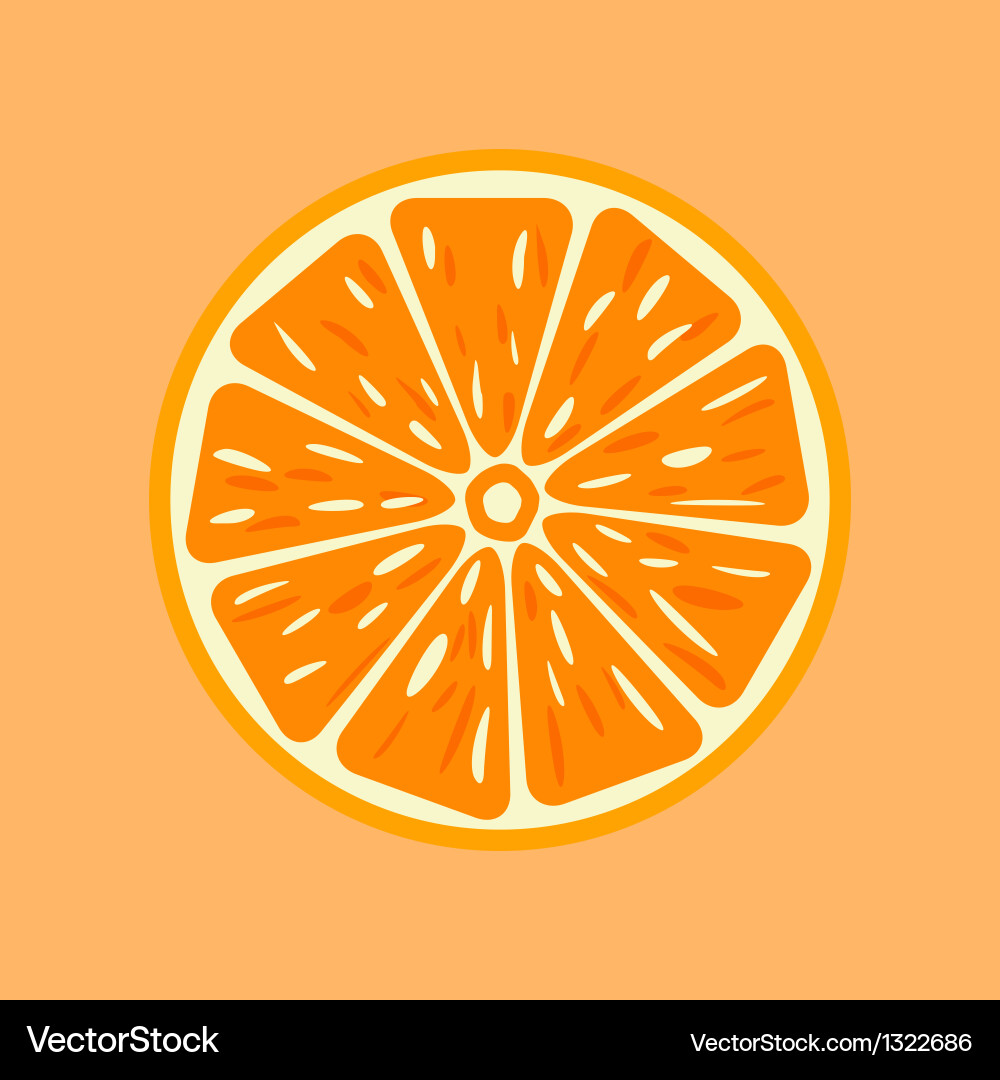 Orange Fruit Slice Royalty Free Vector Image - VectorStock