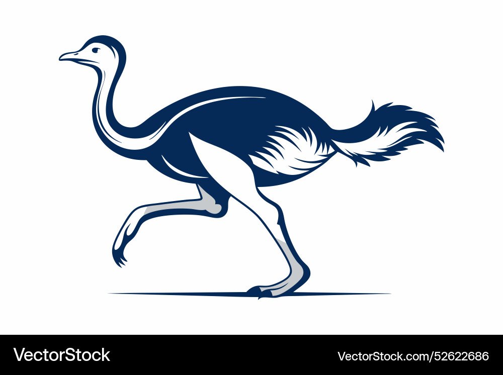 Ostrich run silhouette k Royalty Free Vector Image