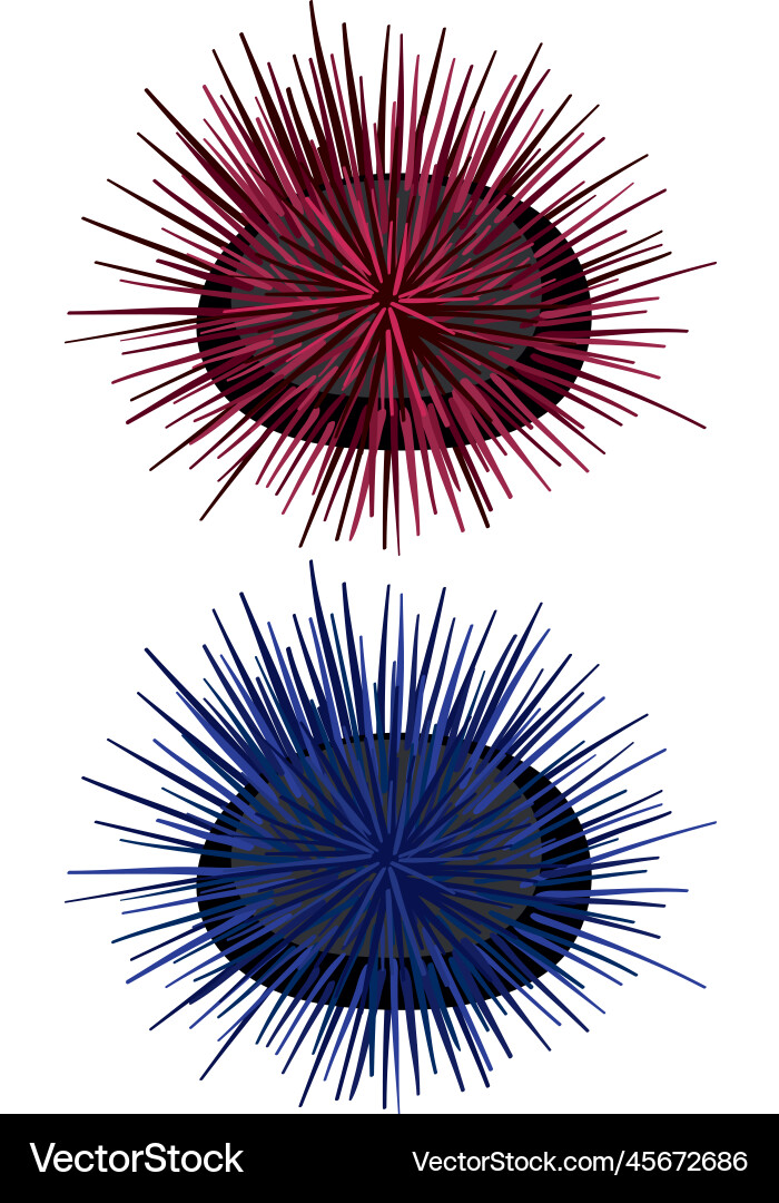 Sea urchin cartoon isolated Royalty Free Vector Image