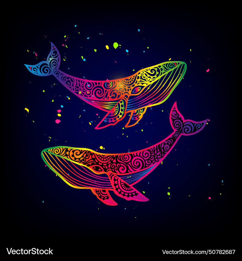 Whale mandala sea Royalty Free Vector Image - VectorStock