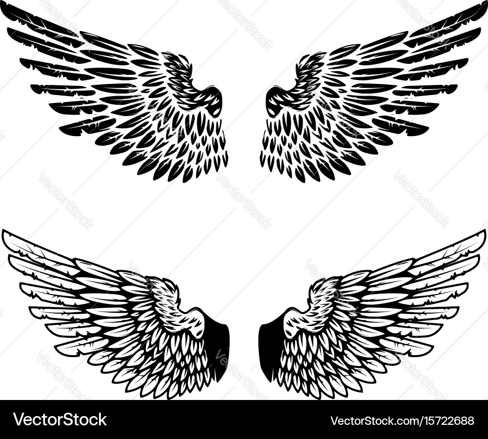 Vintage wings isolated on white background design Vector Image