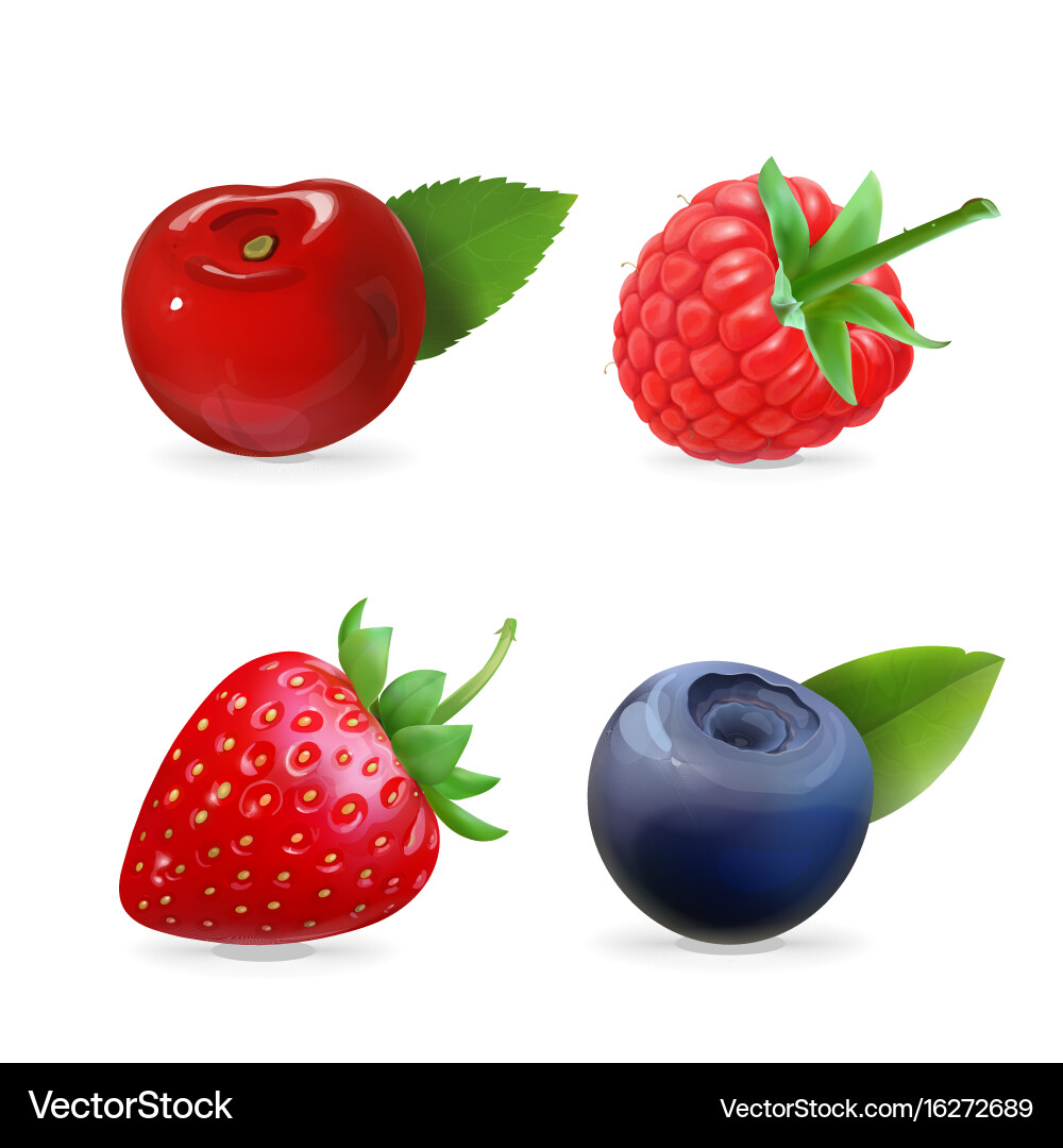 Berry Collection - Realistic Fruits Royalty Free Vector
