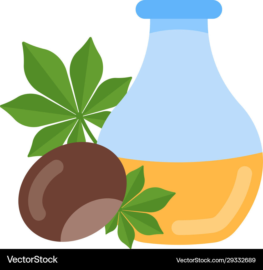 Chestnut oil Royalty Free Vector Image - VectorStock