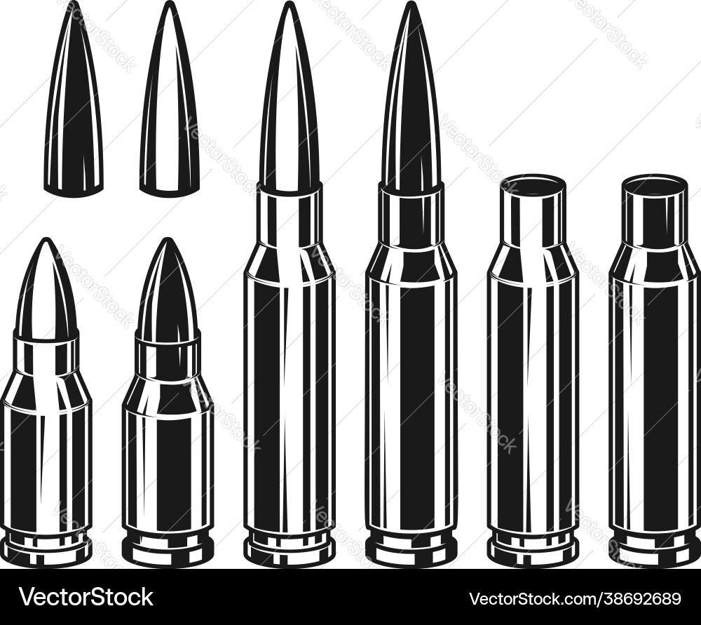Vintage Bullets and Cartridges Royalty Free Vector Image