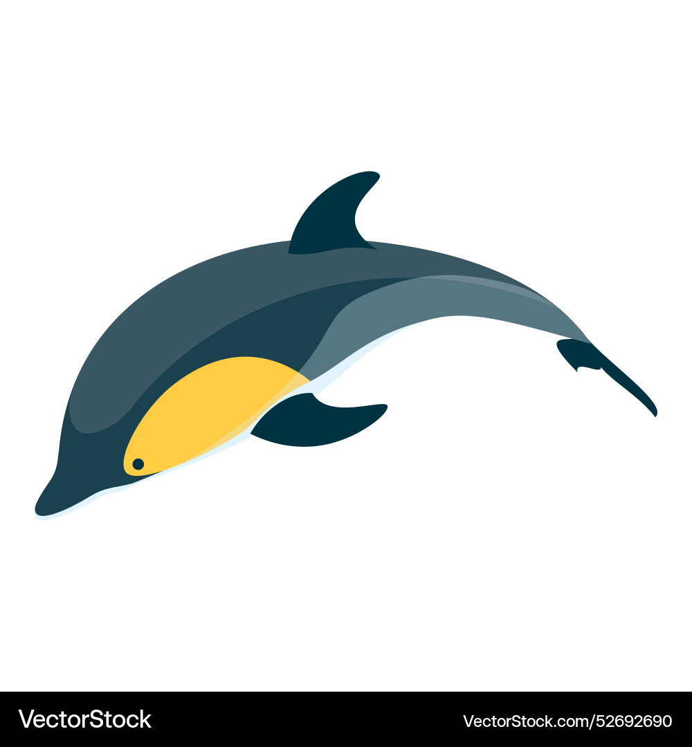 3d isometric flat set of types dolphins Royalty Free Vector