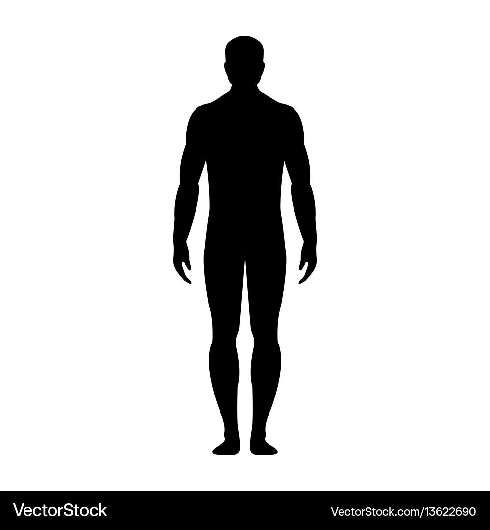 Human front side silhouette Royalty Free Vector Image