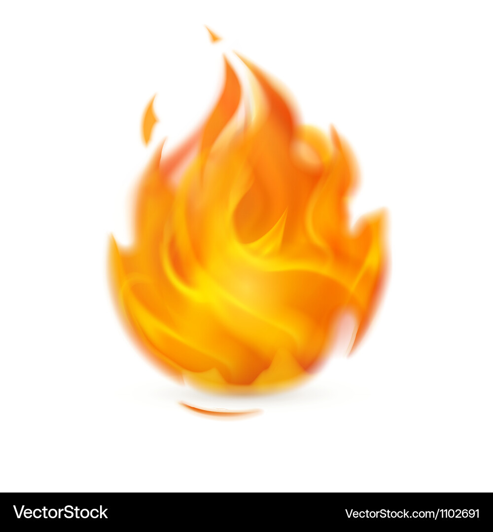 Fire icon Royalty Free Vector Image - VectorStock