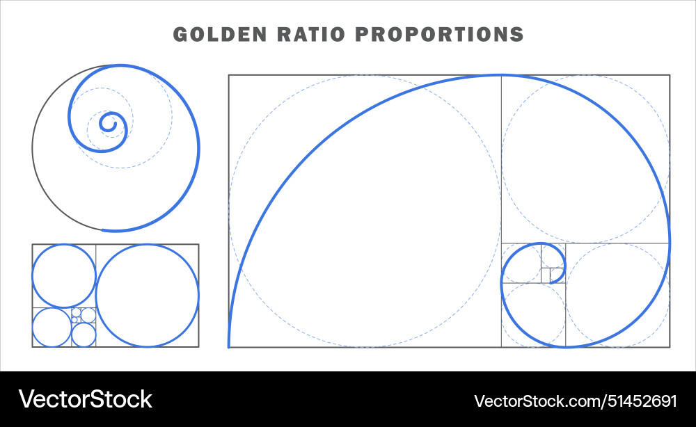 Golden ratio design template collection different Vector Image