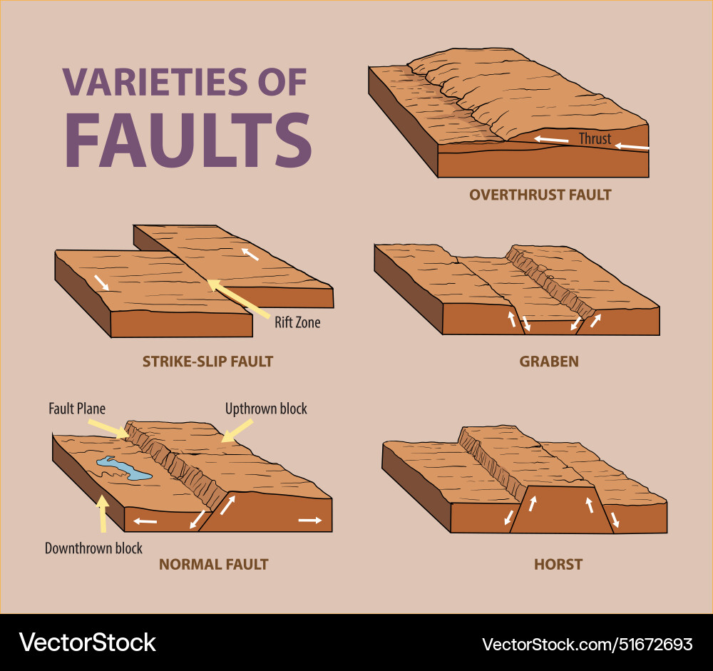 Faults varieties Royalty Free Vector Image - VectorStock