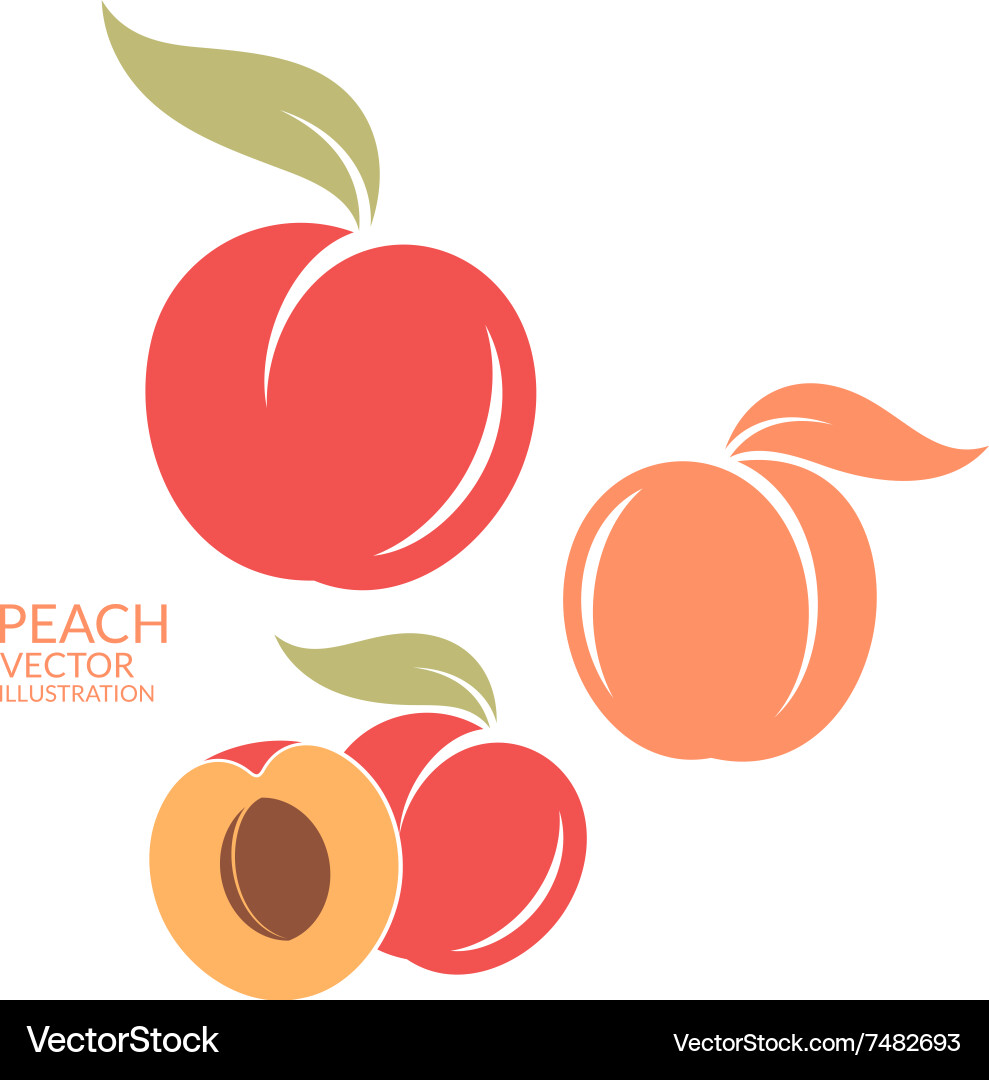Peach set Royalty Free Vector Image - VectorStock