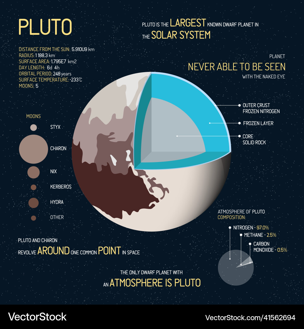 Pluto information and facts infographic template Vector Image