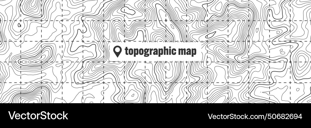 Topographic map with contour lines geographic Vector Image