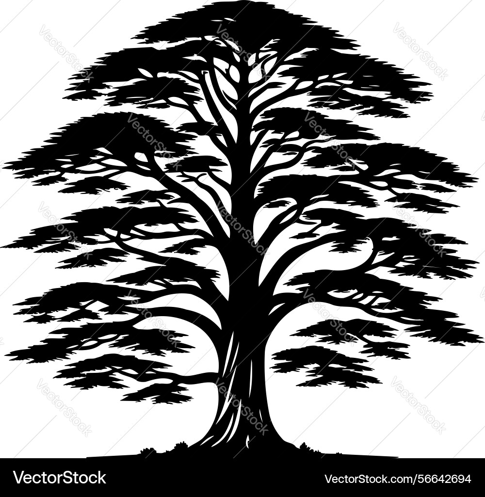 X-default majestic atlas cedar tree Royalty Free Vector