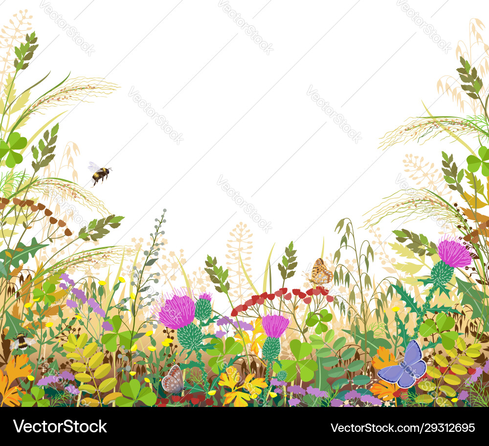 Autumn Plants Vector Images (over 180,000)