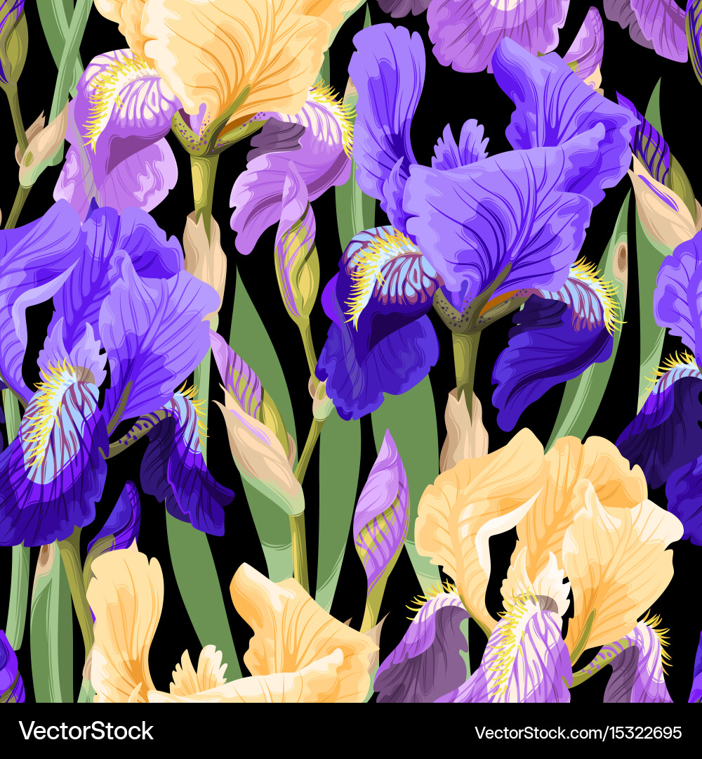 Floral pattern with iris flowers Royalty Free Vector Image