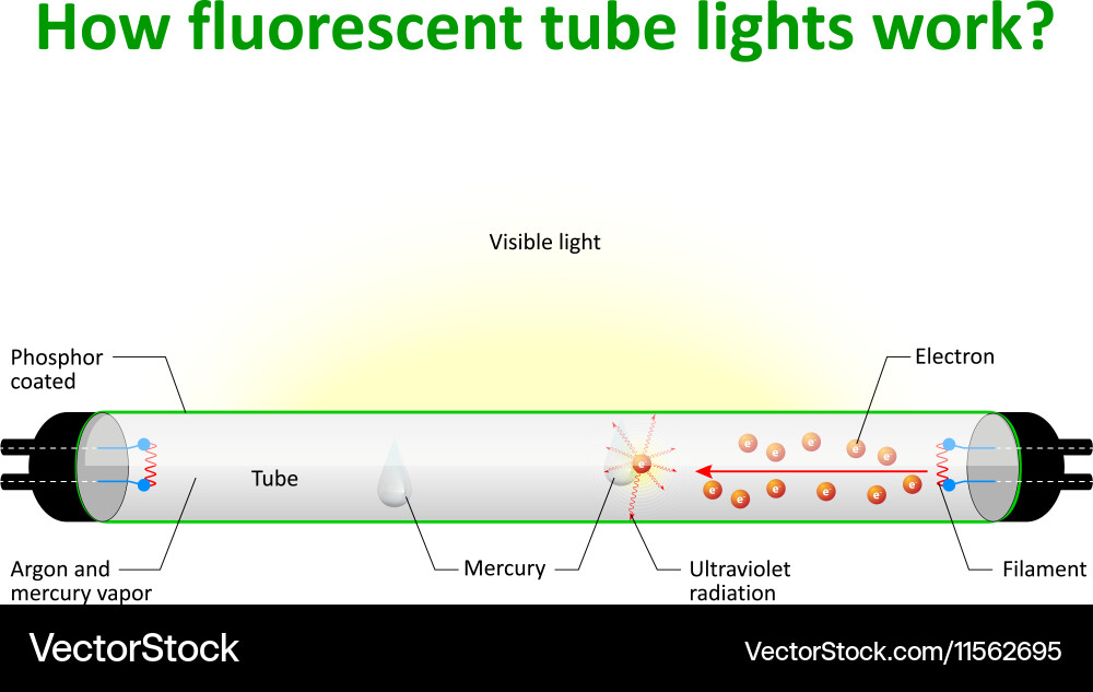 Fluorescent Tube Light Operation Royalty Free Vector Image