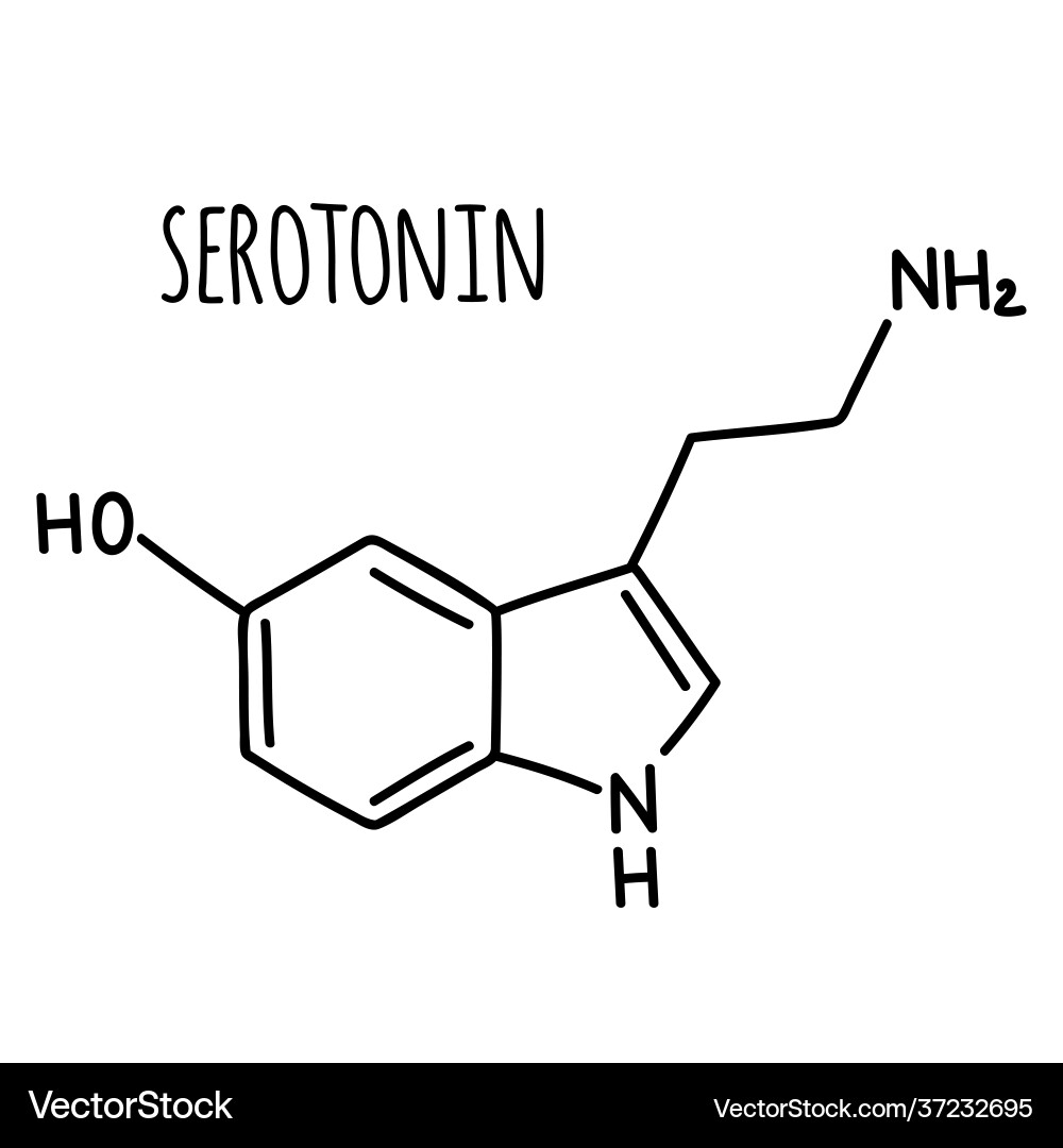Serotonin Chemical Structure Royalty Free Vector Image