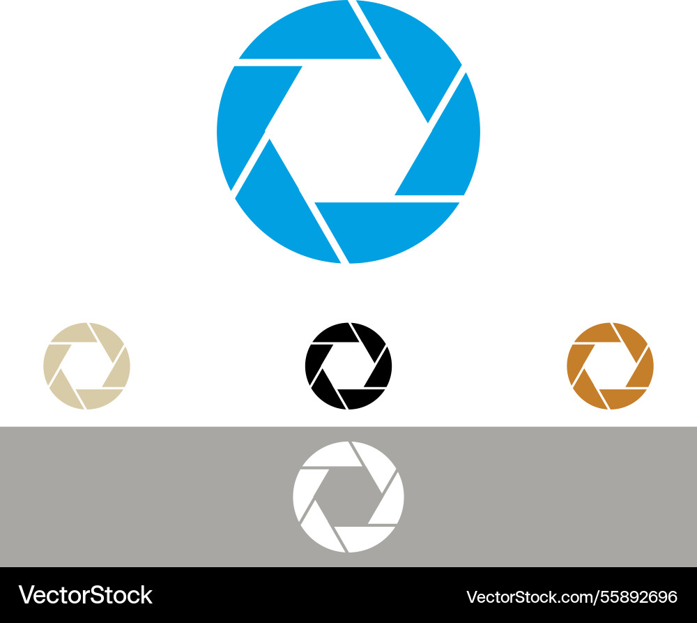 Camera shutter icon Royalty Free Vector Image - VectorStock