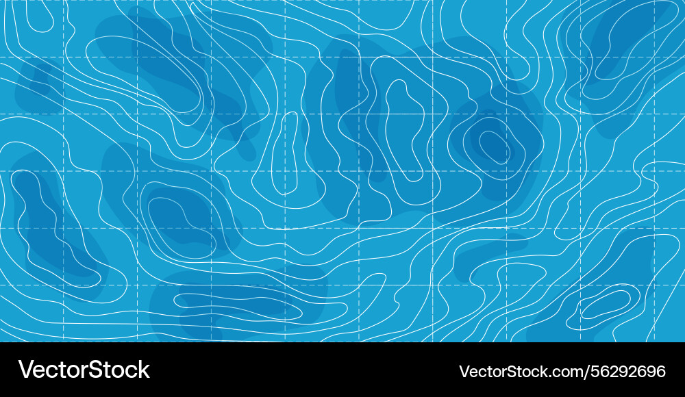 Topography map line contour territory abstract Vector Image