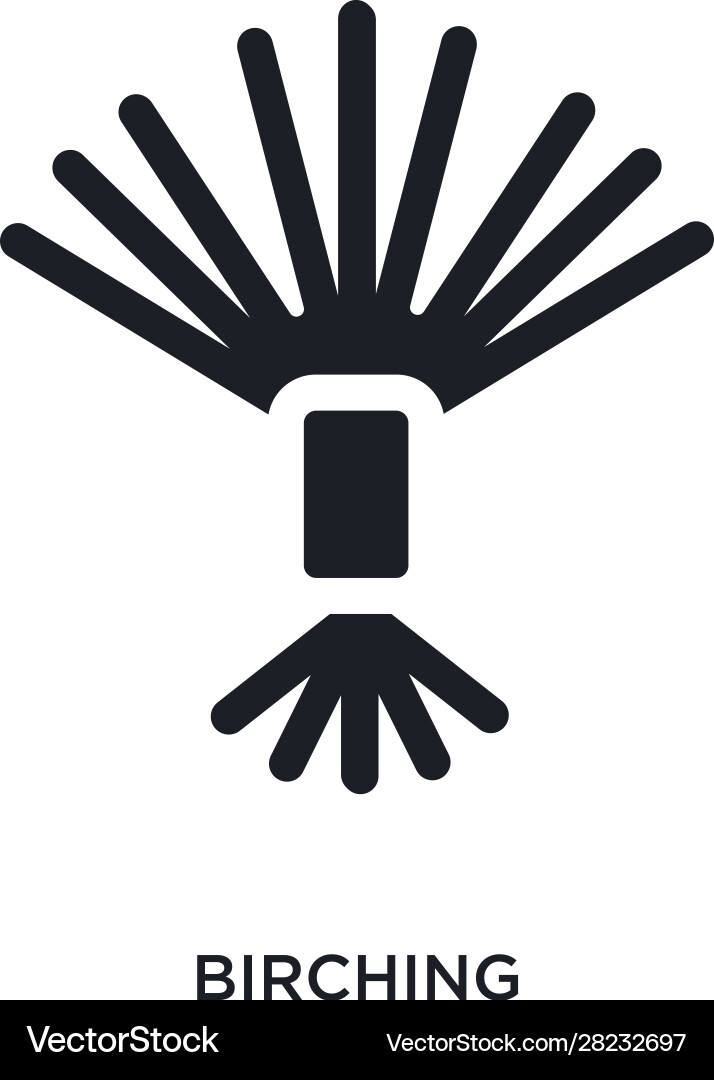 Black birching isolated icon simple element from Vector Image