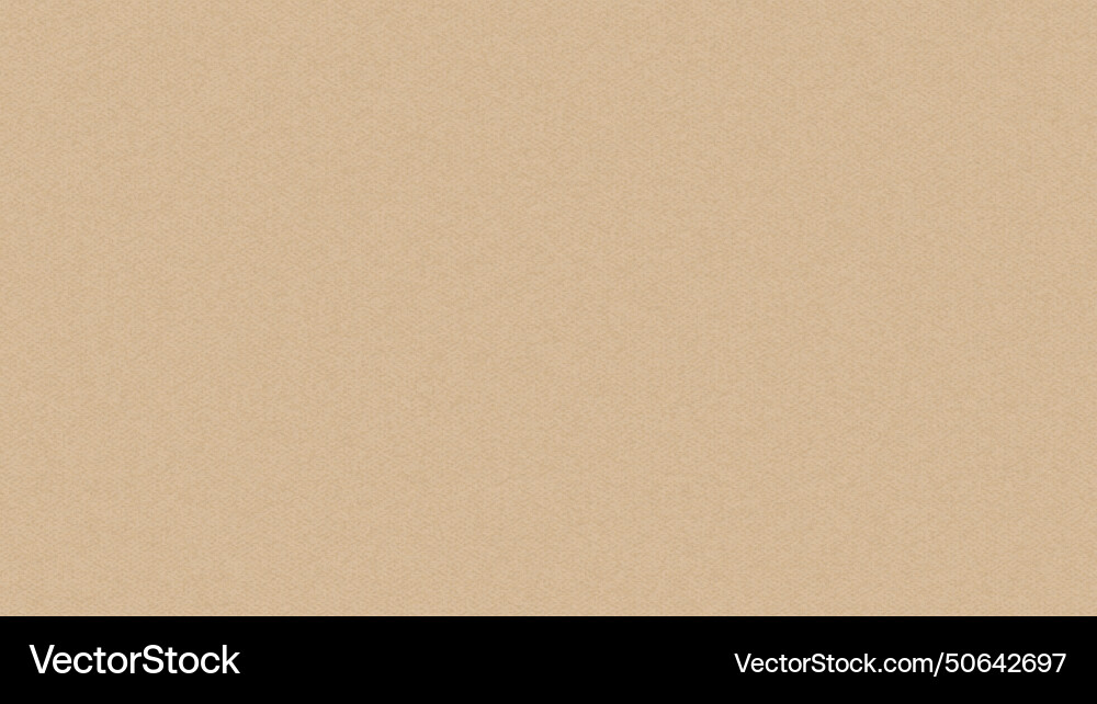 Brown paper texture background for presentation Vector Image