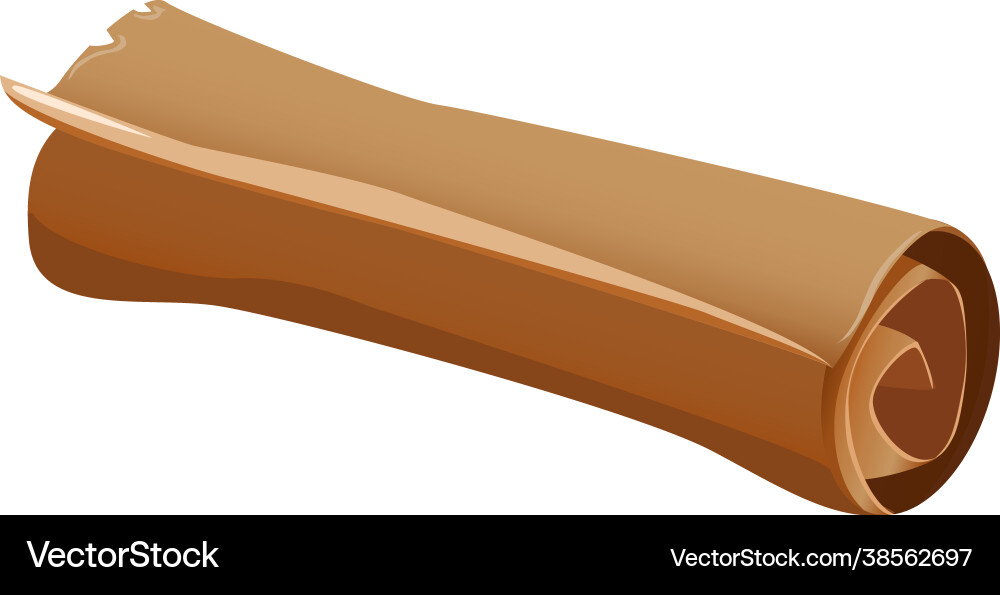 Cartoon scroll Royalty Free Vector Image - VectorStock