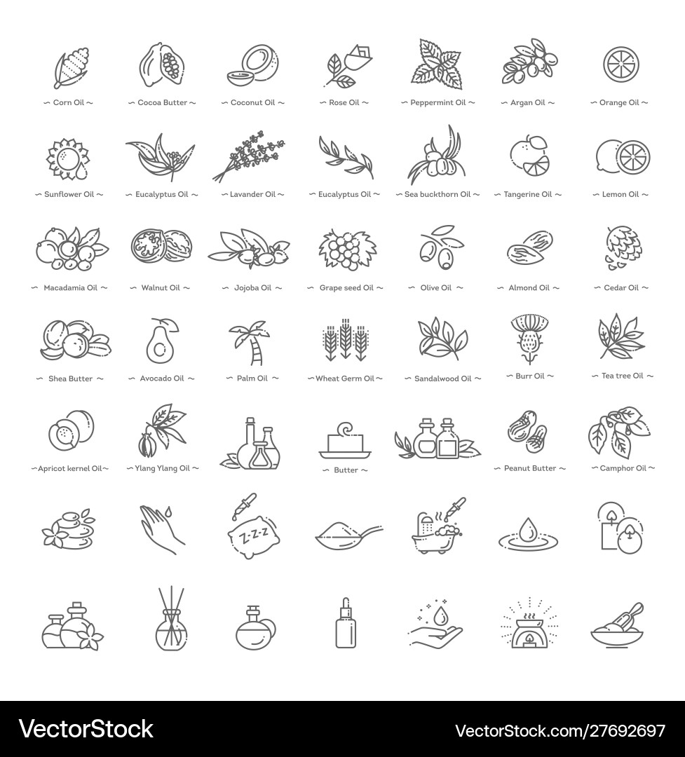 Natural Oils & Ingredients Collection Vector Image