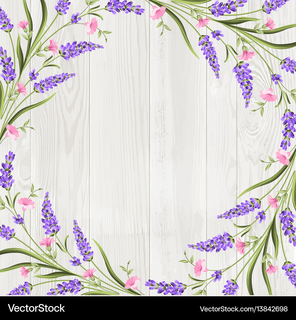 Lavender Floral Border Royalty Free Vector Image