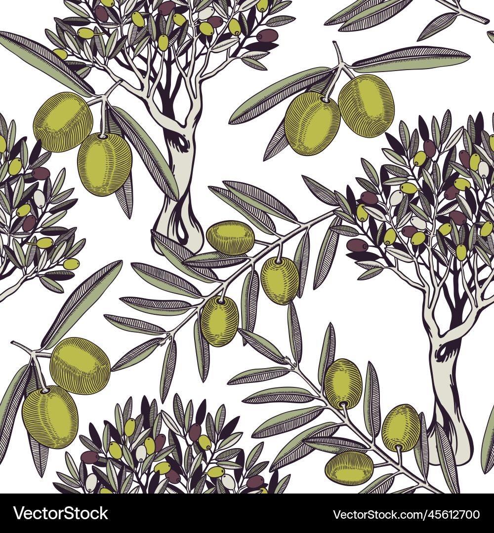 Olive tree background black contoured twigs Vector Image